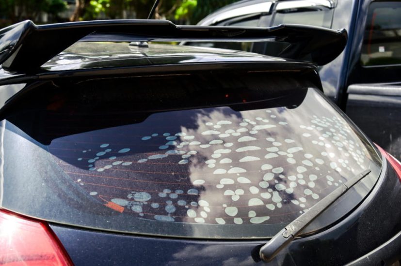 How to Fix Car Window Tint Bubbles, Damage and Peeling